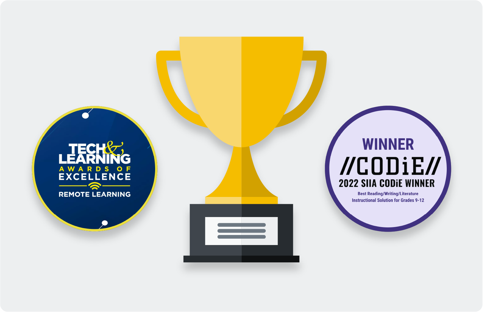 Fits District Goals - Writable